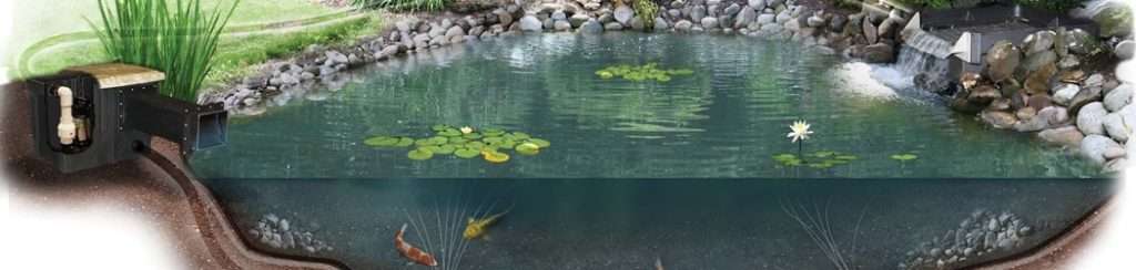 Eco System Ponds – Albanese Garden Center and Greenhouse